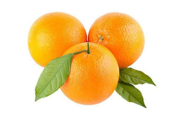Valencia Orange - South Africa – Froovella India